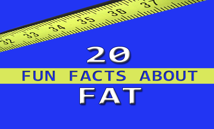 20 Fun Facts About Fat - Trending In